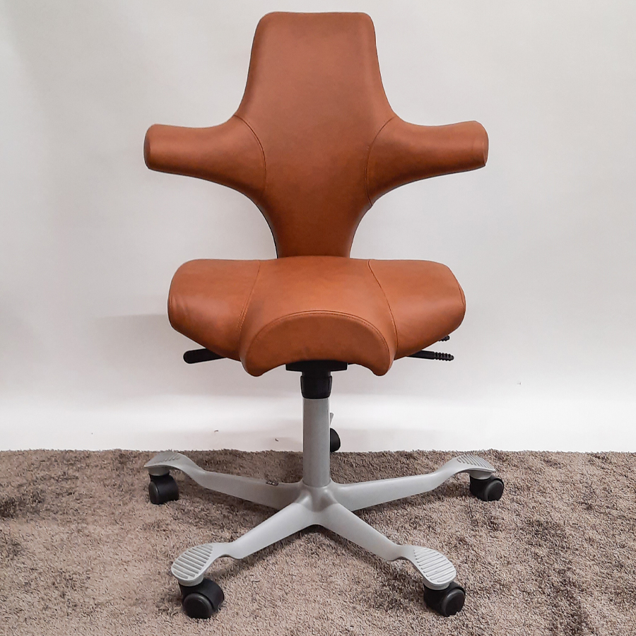 HAG CAPISCO 8106 Lederbezug Sonderleder Paloma Soft natur | raumweltenheiss